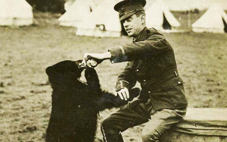 Winnie the Pooh: Named After a Real Bear... and Maybe a Swan - Margo ...