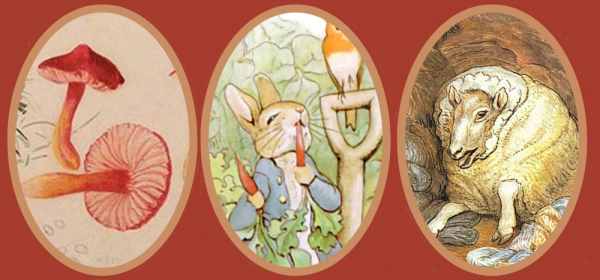 Beatrix Potter: Mushrooms, Bunnies, and Sheep - Margo Lestz - The ...